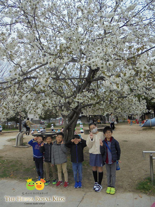 2020 Spring school Part.1 ～Allie先生が紹介！～ - HOPPA