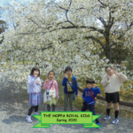 2020 Spring school Part.2 ～Allie先生が紹介！～ - HOPPA